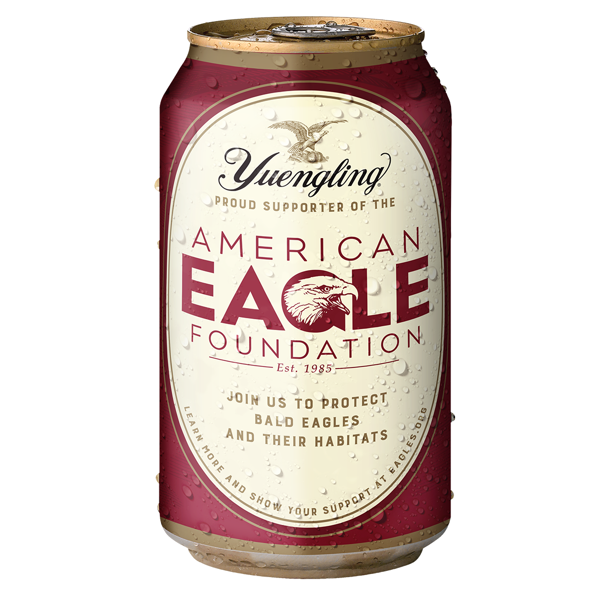 American Bald Eagle - Yuengling